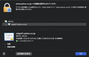 Raspberry Pi OS + SQUID + SSL BumpでHTTPS対応プロキシサーバを立てる方法（ルート証明書インストールまで） – 研究者の端くれ